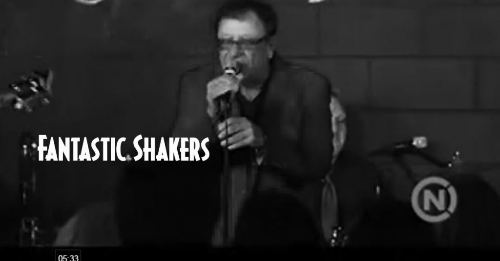 Fantastic Shakers – Bands of the Sand - Edge Entertainment