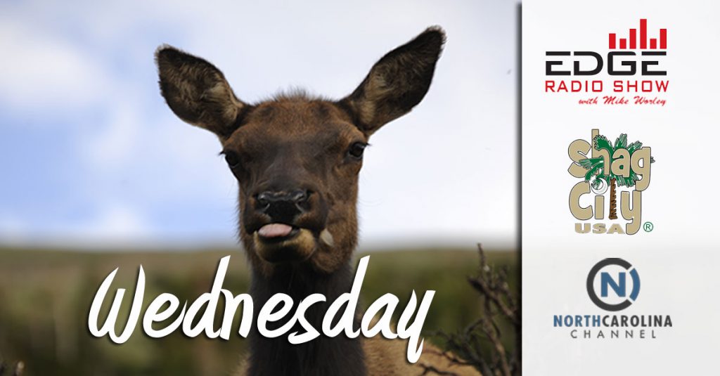 Wednesday Again - Edge Entertainment